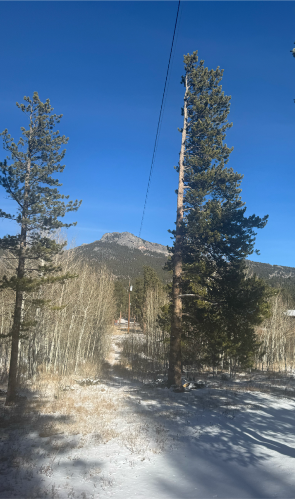 Trail of the Month: Allenspark Neighborhood Loop